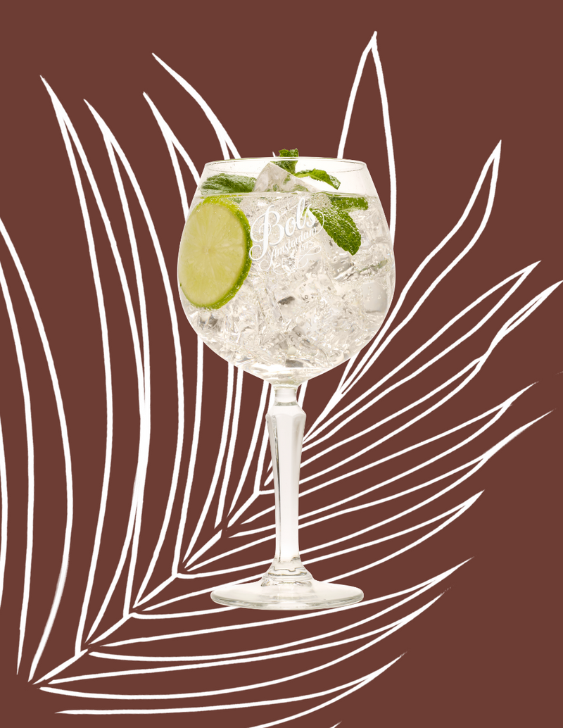 Coconut Spritz Cocktail Recipe & Ingredients | Bols Cocktails