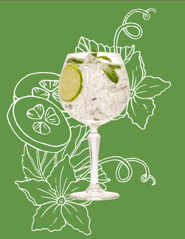 Cucumber Spritz Cocktail Recipe & Ingredients | Bols Cocktails