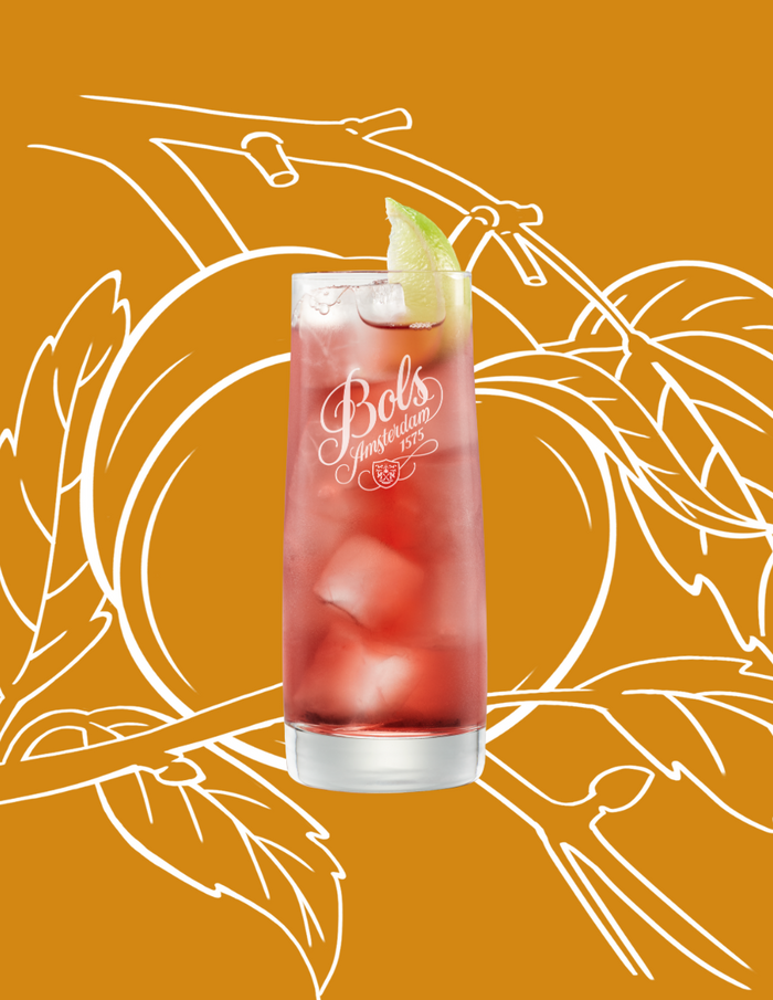 Woo Woo Cocktail Recipe & Ingredients | Bols Cocktails